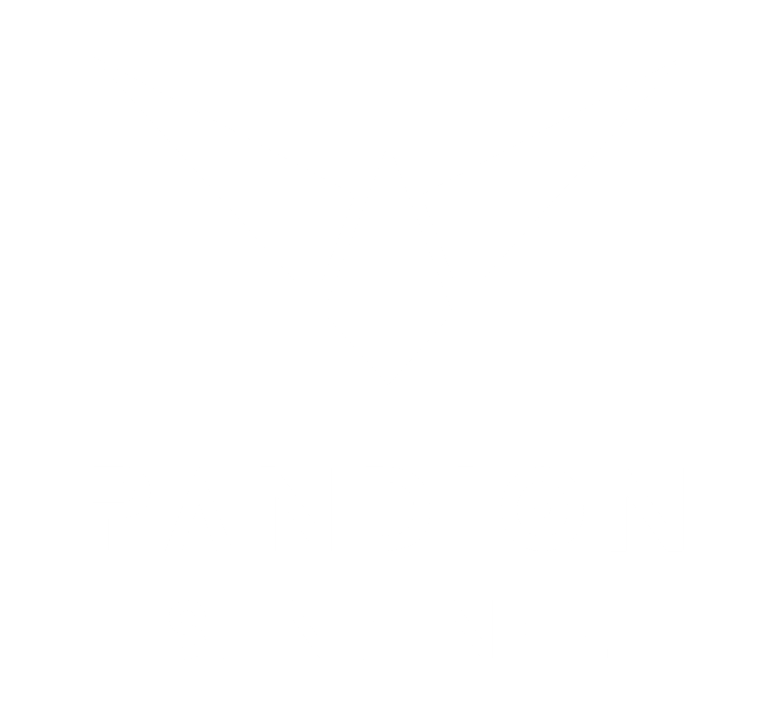 Pandion Sentinel Counter Drone - Visionary Machines